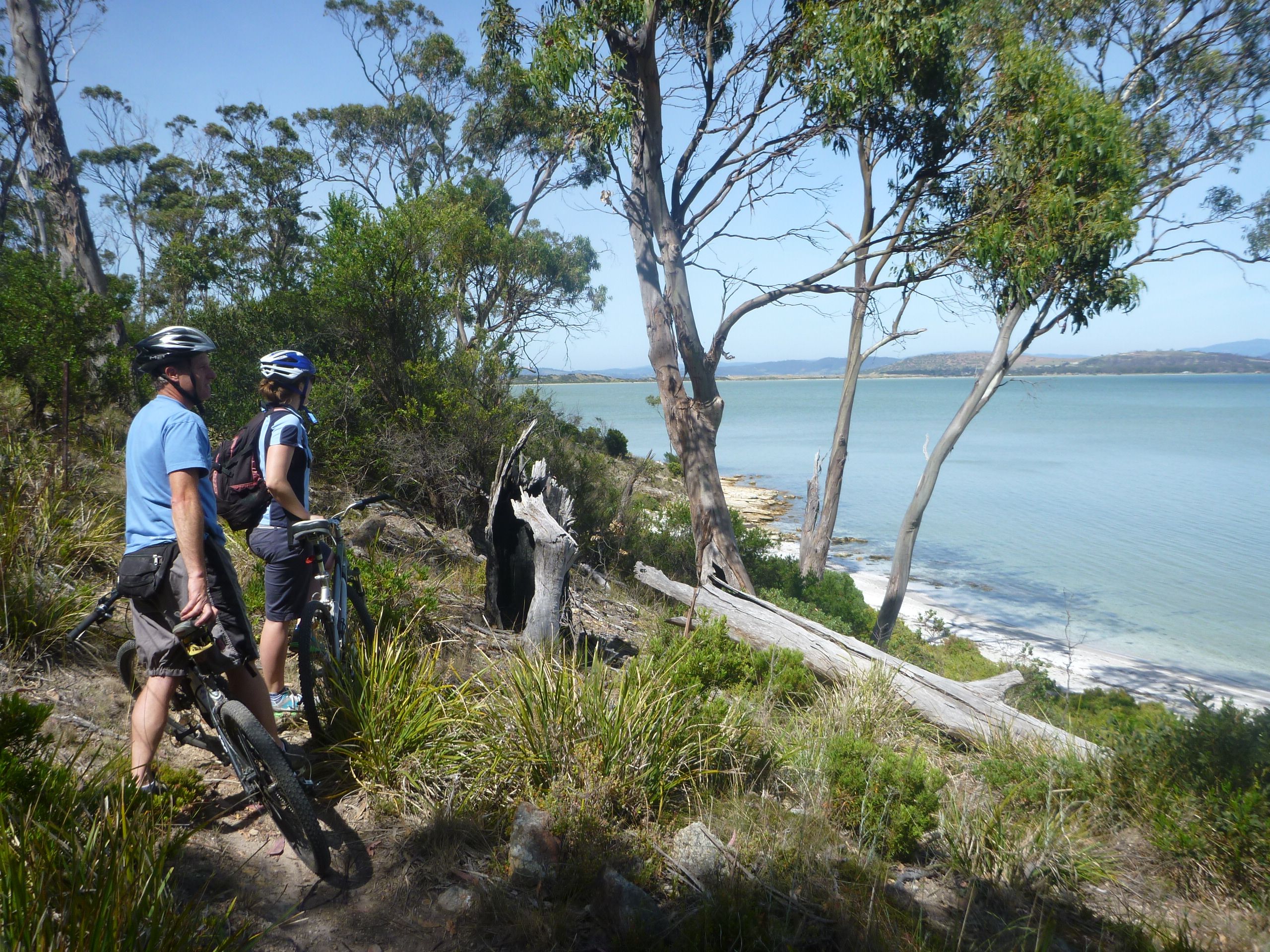 Mortimer Bay Circuit | Greater Hobart Trails