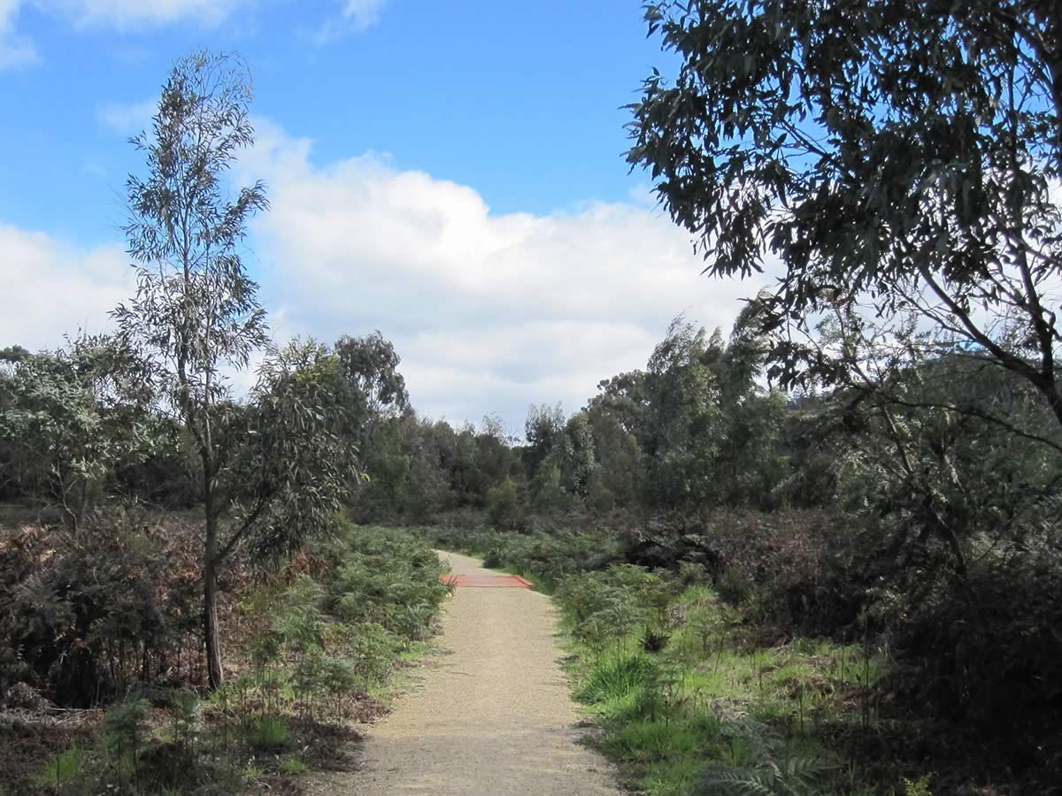 Lauderdale Wetlands Track | Greater Hobart Trails