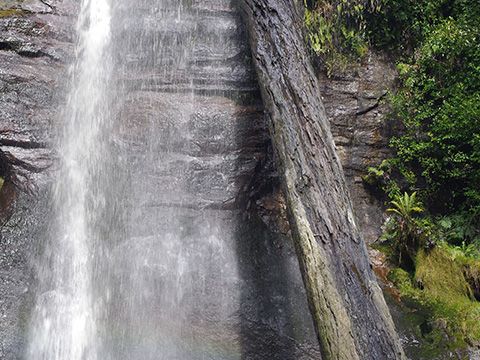Snug Falls Track | Greater Hobart Trails